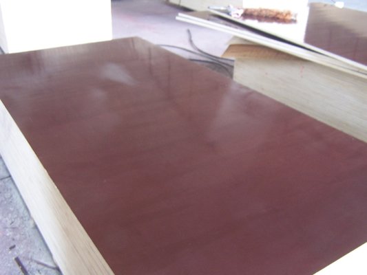 Customized Brown Film Faced Plywood / faced plywood sheets Indoor