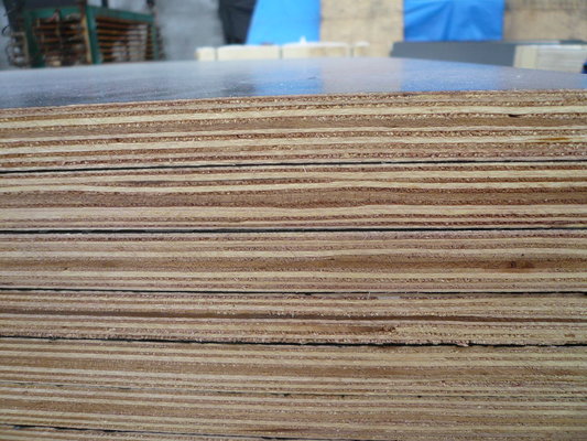 Black Phenolic Film Faced Plywood Hot-Pressing , 1220mm x 2440mm x 10mm