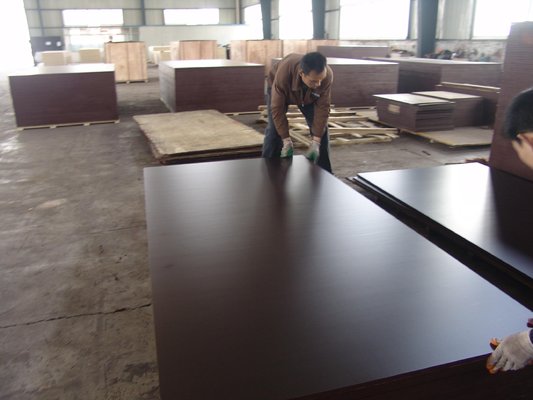 Two Hot-Press Concrete Plywood , Two Sanding And Wbp Glue