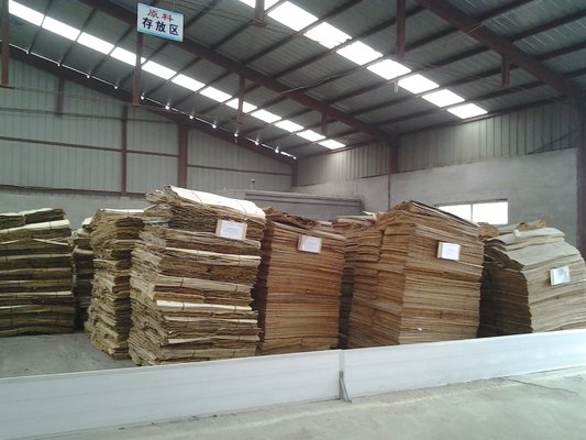 Total Poplar Core Film Faced Shuttering Plywood 12mm / 15mm / 18mm