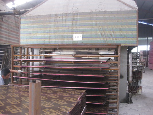 Total Poplar Core Film Faced Shuttering Plywood 12mm / 15mm / 18mm