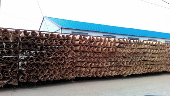 Eucalyptus Veneer 2mm For Making Plywood , Red hardwood Veneer