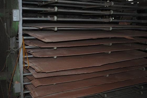Door Decorative Commercial Plywood , thin plywood sheets Environmental