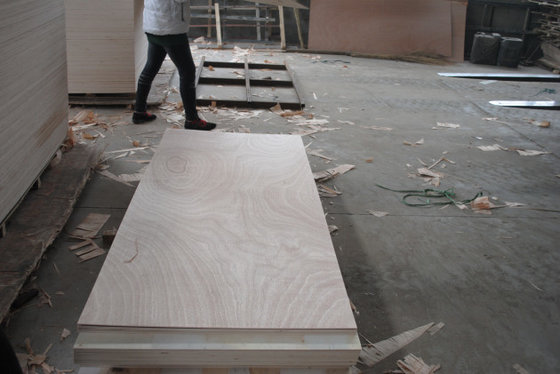 Pine Face / Back Door Commercial Plywood Thickness 2mm - 6mm