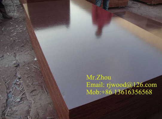 Environmental Phenolic film faced plywood , Concrete shuttering plywood