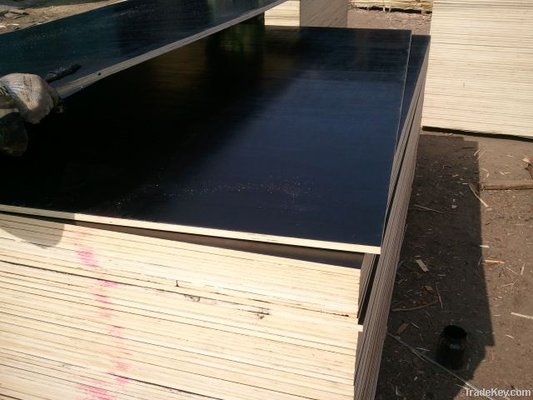 2440 x 1220 mm Concrete Shuttering Plywood Laminated Waterproof