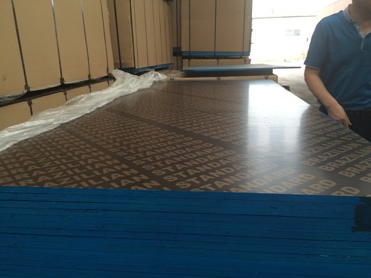 Two Hotpressing And One Sanding Brown Film Faced Plywood  With Customization Logo