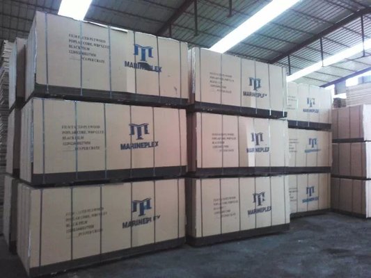 Mr Glue Hot-Press Construction Building Plywood Face / Back Sanding