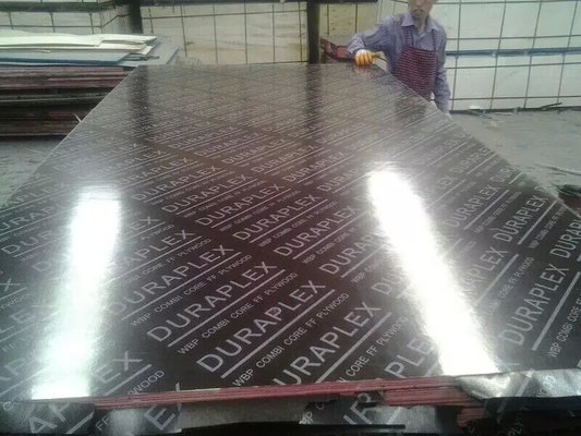 Mr Glue Hot-Press Construction Building Plywood Face / Back Sanding