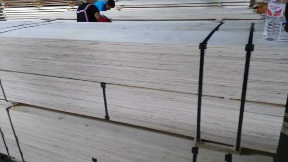 Packing Usage Poplar Material LVL Lumber  For Sounth Korea 1600 x 120 x 14.5 mm