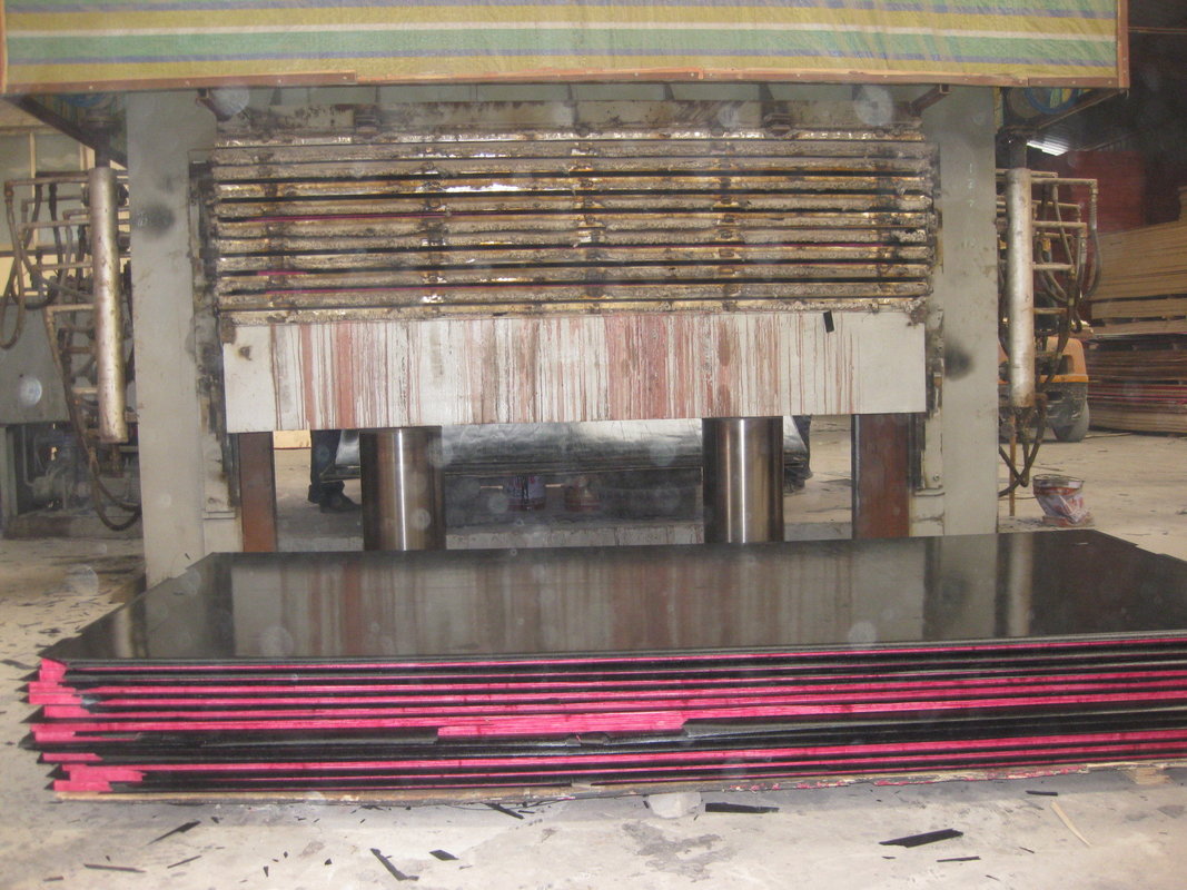 Concrete brown film faced plywood Board / 18mm WBP Plywood for Building 8% - 12% Moisture