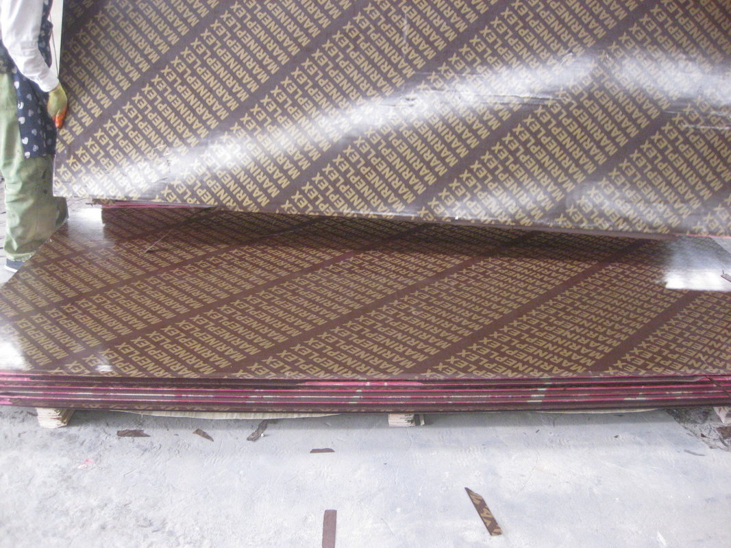 13 Layers Melamine construction grade plywood for building material , 18mm WBP plywood