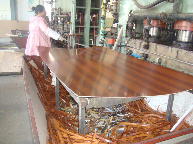Plain Melamine MDF Board for Furniture and Cabinet , Laminated Walnut medium density fiberboard