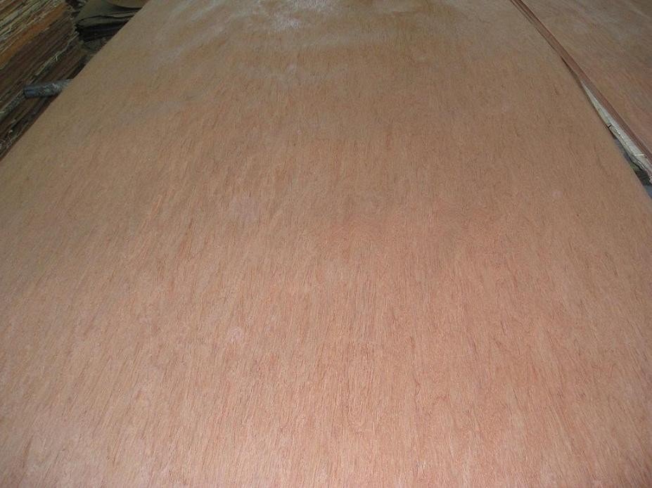 Veneer Faced Fancy MDF Sheets / Oak Medium Density Fiberboard for Furniture / Package