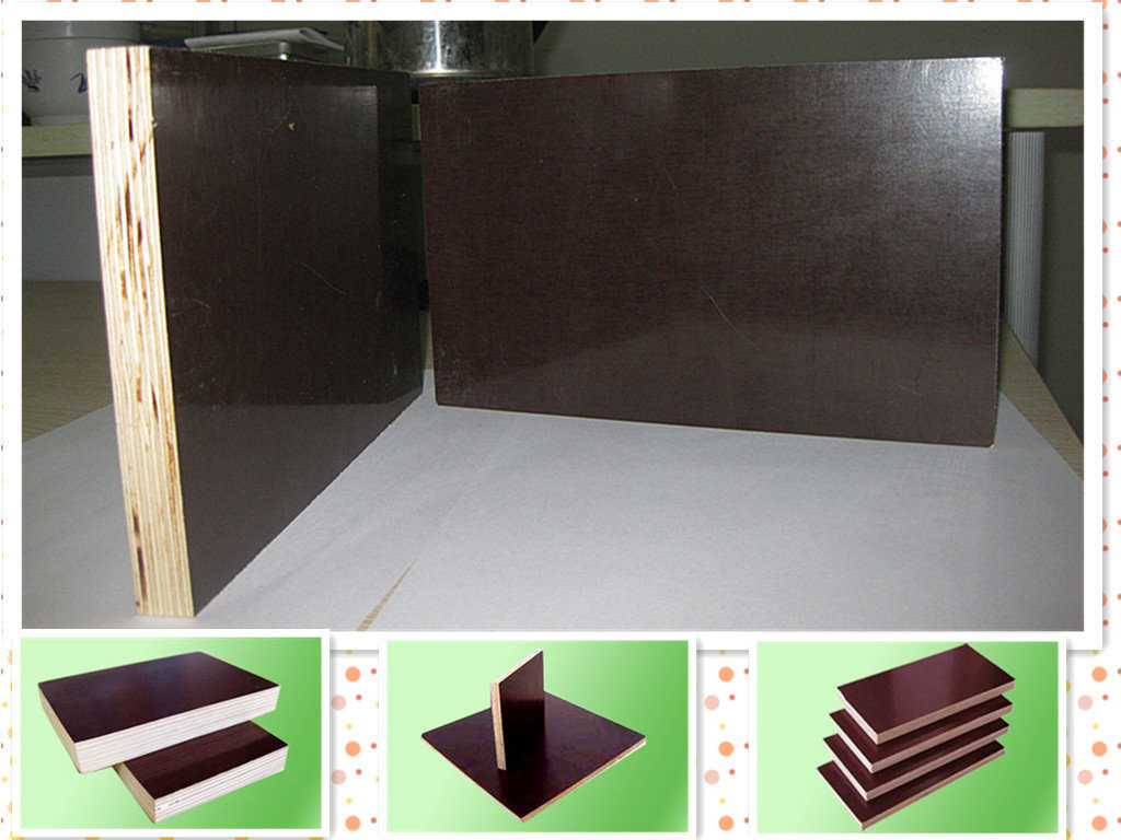 Eucalyptus core Concrete Formwork plywood for building usage 12mm - 21mm , Eco friendly