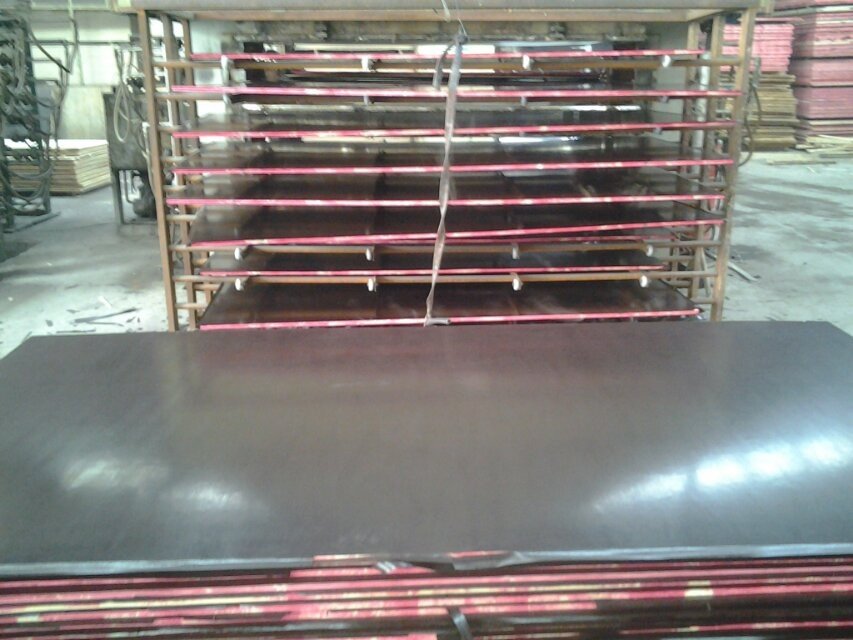 Recycled Concrete Plywood For Formwork / Construction With Hardwood Veneer Core