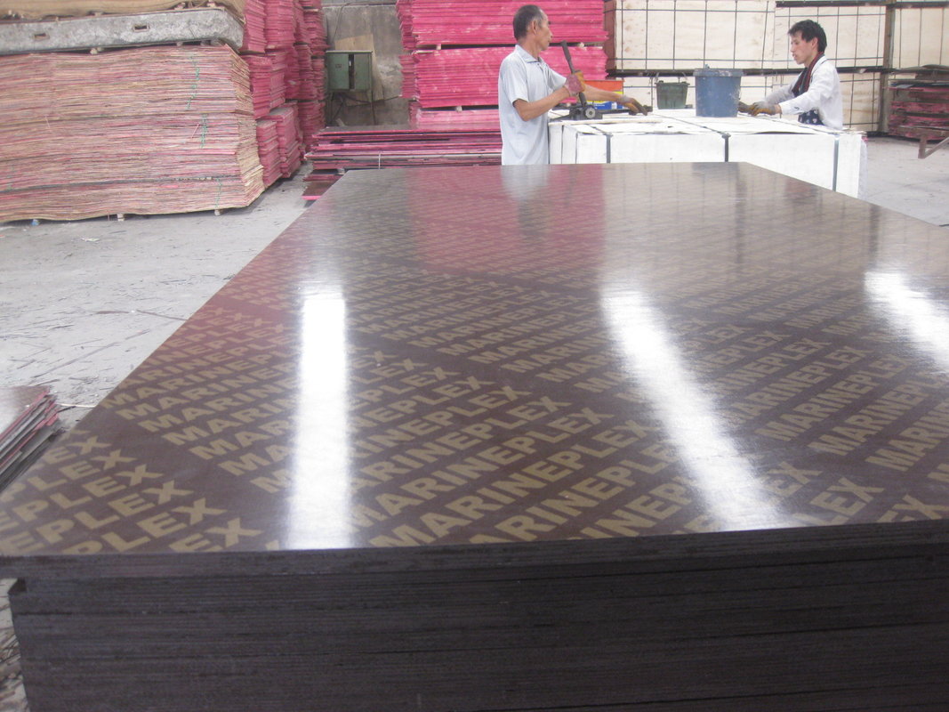 Brown Film Concrete Plywood , Finger-Jointed Core With Hardwood Material