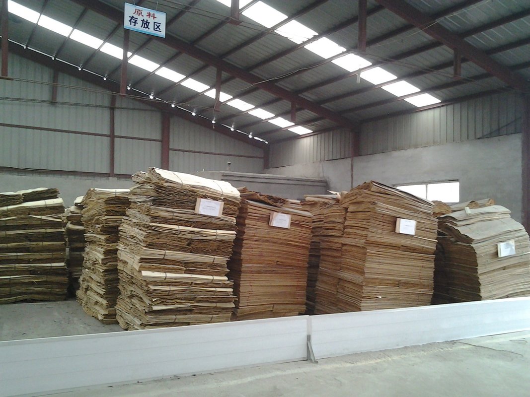 Total Poplar Core Film Faced Shuttering Plywood 12mm / 15mm / 18mm