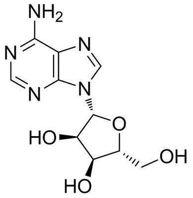 58-61-7 cosmetics raw material skin conditioning.INCI Name Adenosine