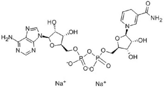 Nicotinamide Adenine Dinucleotide Disodium Salt 606-68-8 Coenzymes Skin Conditioning INCI Name Disodium NADH