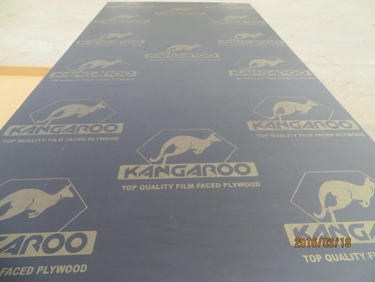 KANGAROO' BRAND FILM FACED PLYWOOD, POPLAR CORE, WBP MELAMINE GLUE, BROWN PRINTED FILM