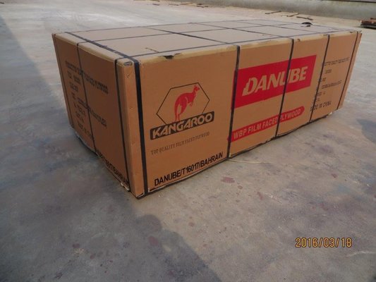 KANGAROO' BRAND FILM FACED PLYWOOD, POPLAR CORE, WBP MELAMINE GLUE, BROWN PRINTED FILM