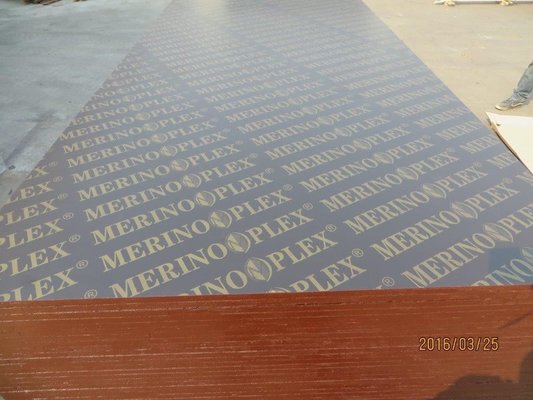 'MERINOPLEX' BRAND FILM FACED PLYWOOD, 'MR' GLUE, POPLAR CORE, BROWN PRINTED FILM