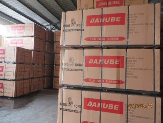 BLACK FILM FACED PLYWOOD, 'MR' GLUE, POPLAR CORE, BLACK FILM or BLACK PRINTED FILM