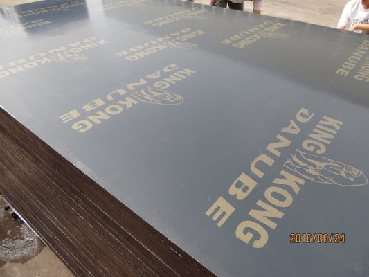 BLACK FILM FACED PLYWOOD, 'MR' GLUE, POPLAR CORE, BLACK FILM or BLACK PRINTED FILM
