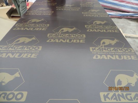 'KANGAROO' BRAND FILM FACED PLYWOOD,High Quality film faced plywood , concrete formwork plywood , poplar core plywood