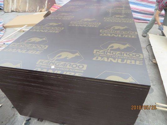 'KANGAROO' BRAND FILM FACED PLYWOOD,High Quality film faced plywood , concrete formwork plywood , poplar core plywood