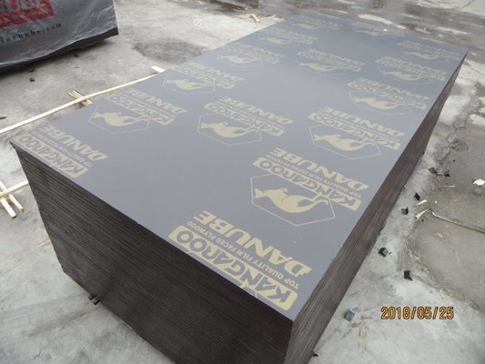 'KANGAROO' BRAND FILM FACED PLYWOOD,formwork scaffolding concrete shuttering plywood film faced plywood