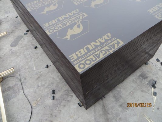 'KANGAROO' BRAND FILM FACED PLYWOOD,formwork scaffolding concrete shuttering plywood film faced plywood