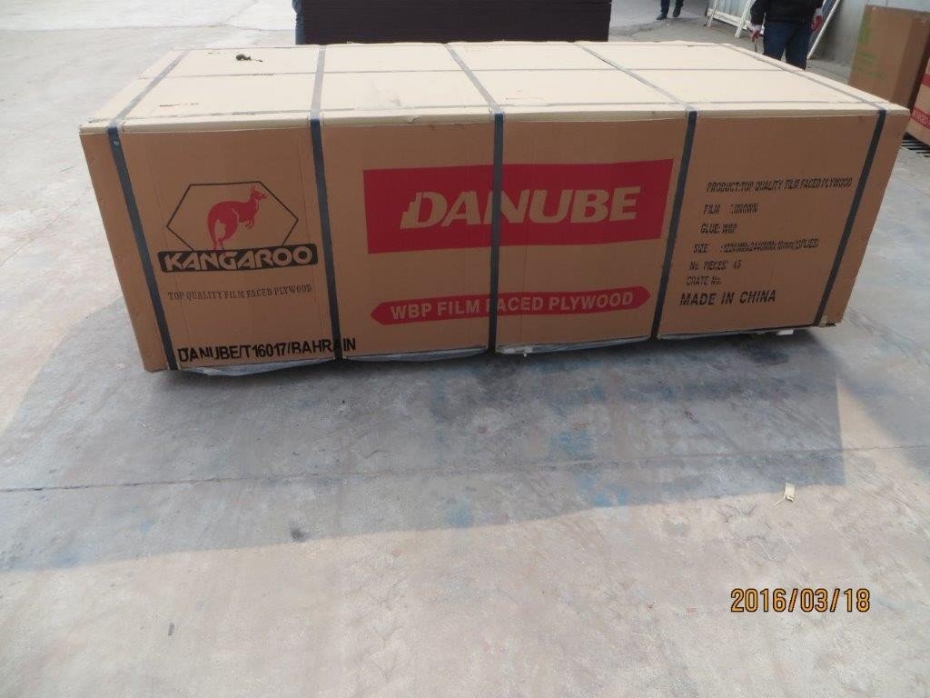 KANGAROO' BRAND FILM FACED PLYWOOD, POPLAR CORE, WBP MELAMINE GLUE, BROWN PRINTED FILM