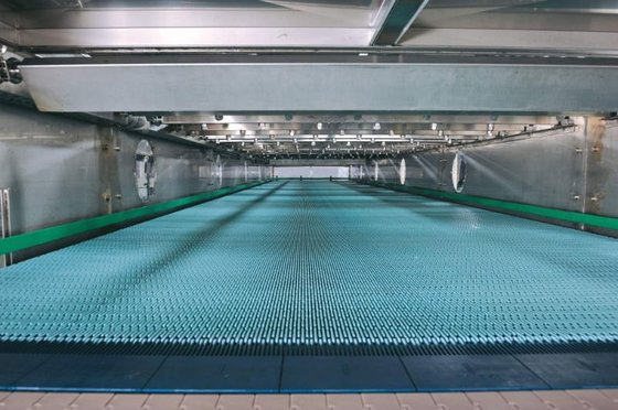 Continuous Spray Tunnel Pasteurizer/spraying Sterilization Cooling Tunnel supplier