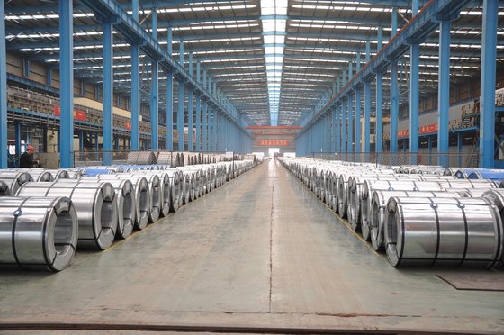 1200mm width Hot dipped Galvanized Steel Coil