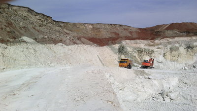 ChinaBleaching EarthCompany