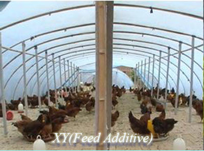 China Attapulgite feed additive supplier