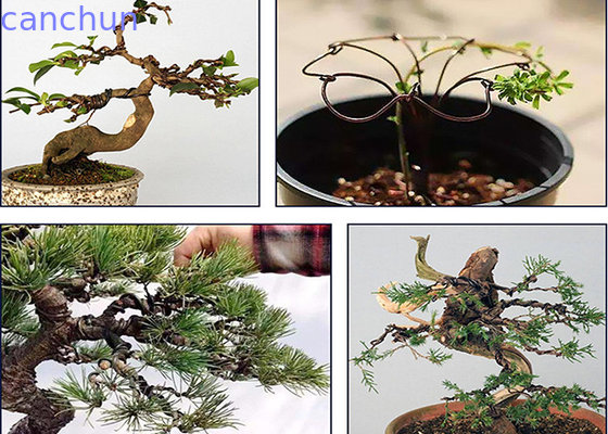 Anodized Black Training Wire Garden Aluminium bonsai wire