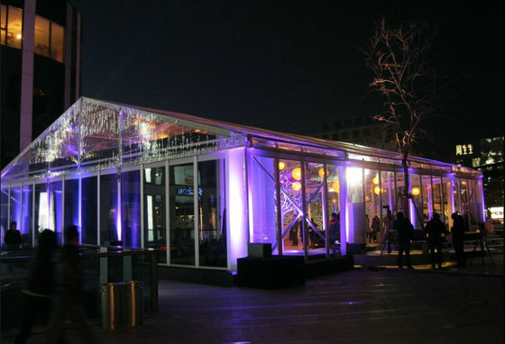 Clear Transparent Roof Cover Wedding Event Tents With Clear Sidewall With Lighting