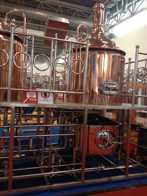 Turn-key Copper microbrewery equipment for sale beer equipment from 100L-2000L