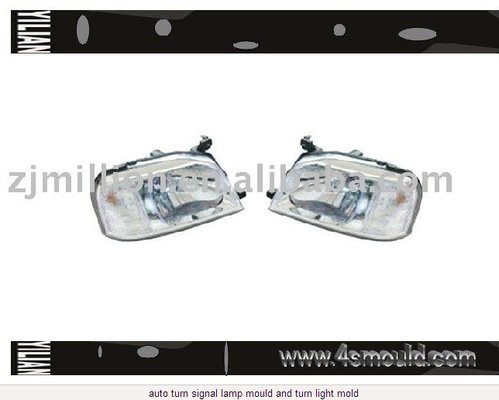 auto turn signal light mouldand turn light mould