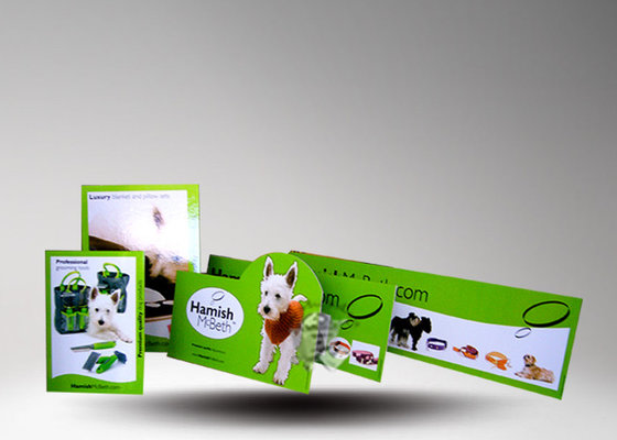 Light duty cardboard standee for pets house in stores or supermarket supplier