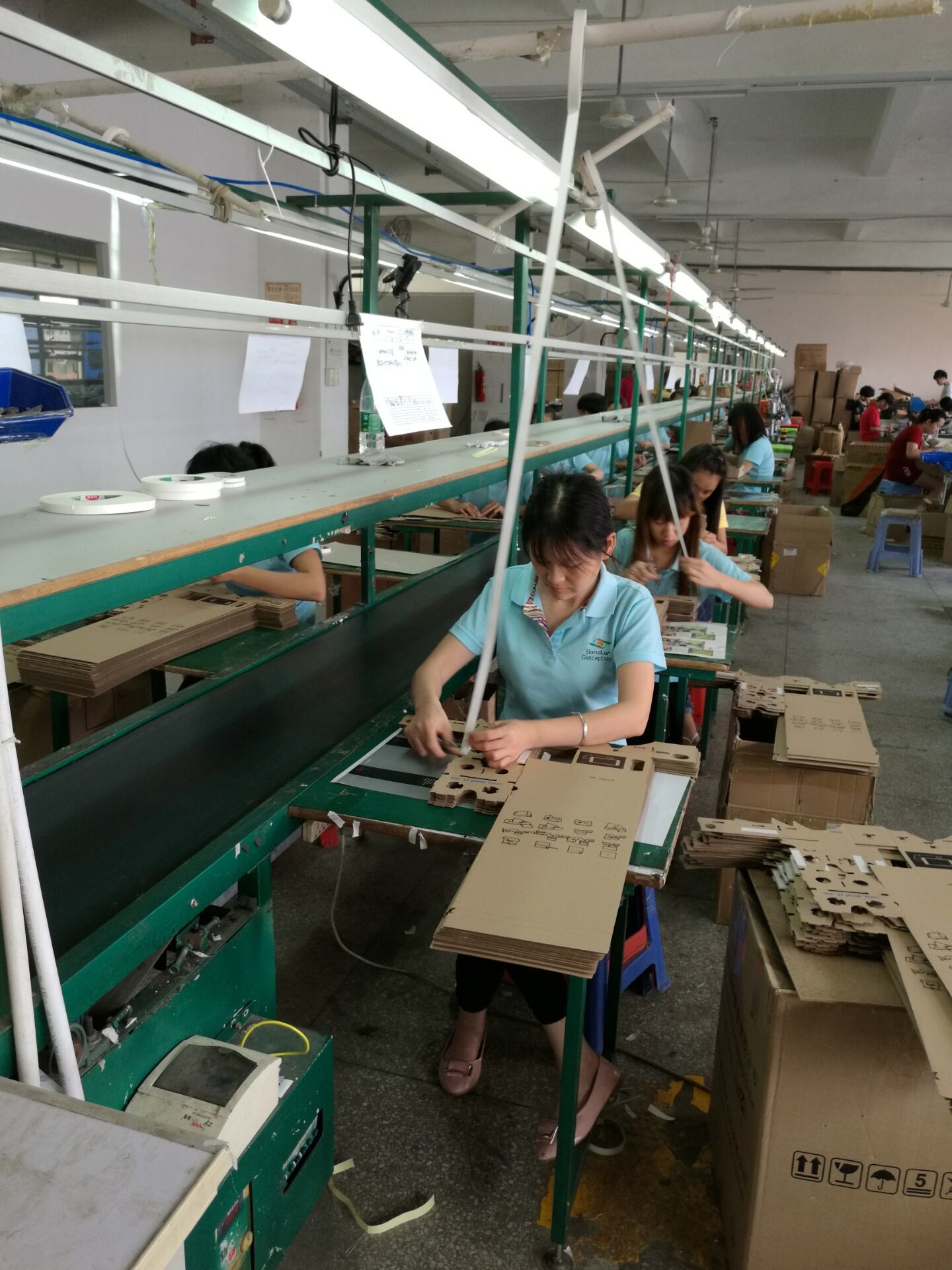 China Shenzhen Lionstar Technology Co.,Ltd company profile