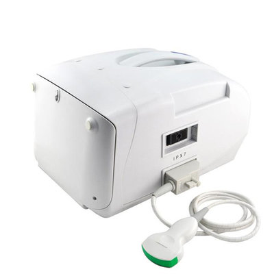 VET Portable Ultrasound Scanner with 18-month warranty/CE Ultrasonic with factory support/USG echo device/Sonography