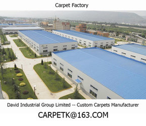 David Industrial Group Limited