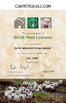 David Industrial Group Limited