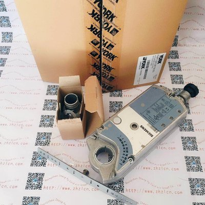 York Air Conditioner Spare Parts 025-38170-000 Thermal Expansion Valve supplier