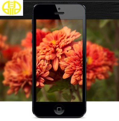 Iphone 5S Premium Tempered Glass Screen Protectors 0.2mm / 0.3mm / 0.4mm