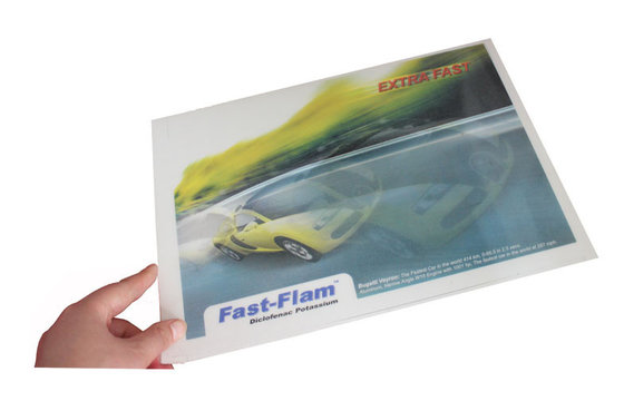 Customized 3D Logo Vinyl Car Sticker , Pantone / CMYK auto decal
